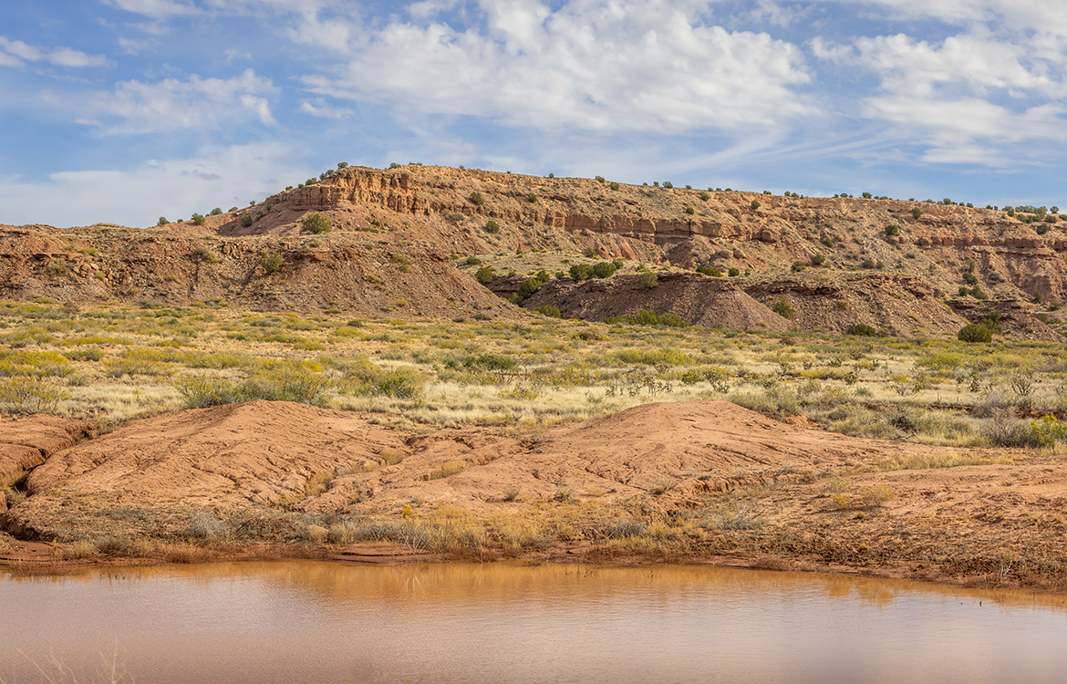 Property Spotlight: Discover Your Next Dream Ranch