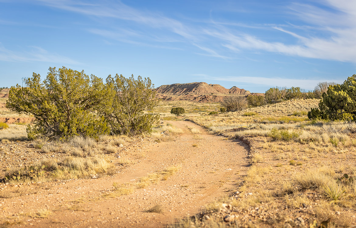 Property Spotlight: Discover Your Next Dream Ranch