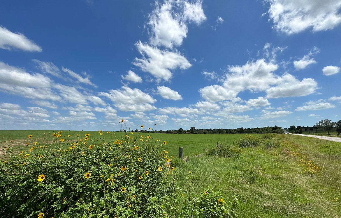 Long Meadow Ranch 56 Acre Ranch For Sale In Austin County