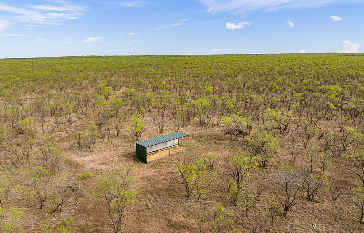 BRB Ranch 519 Acre Ranch For Sale n Concho County