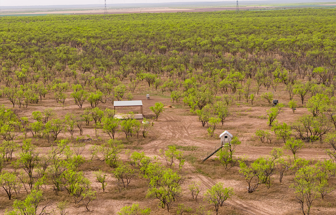 BRB Ranch 519 Acre Ranch For Sale n Concho County