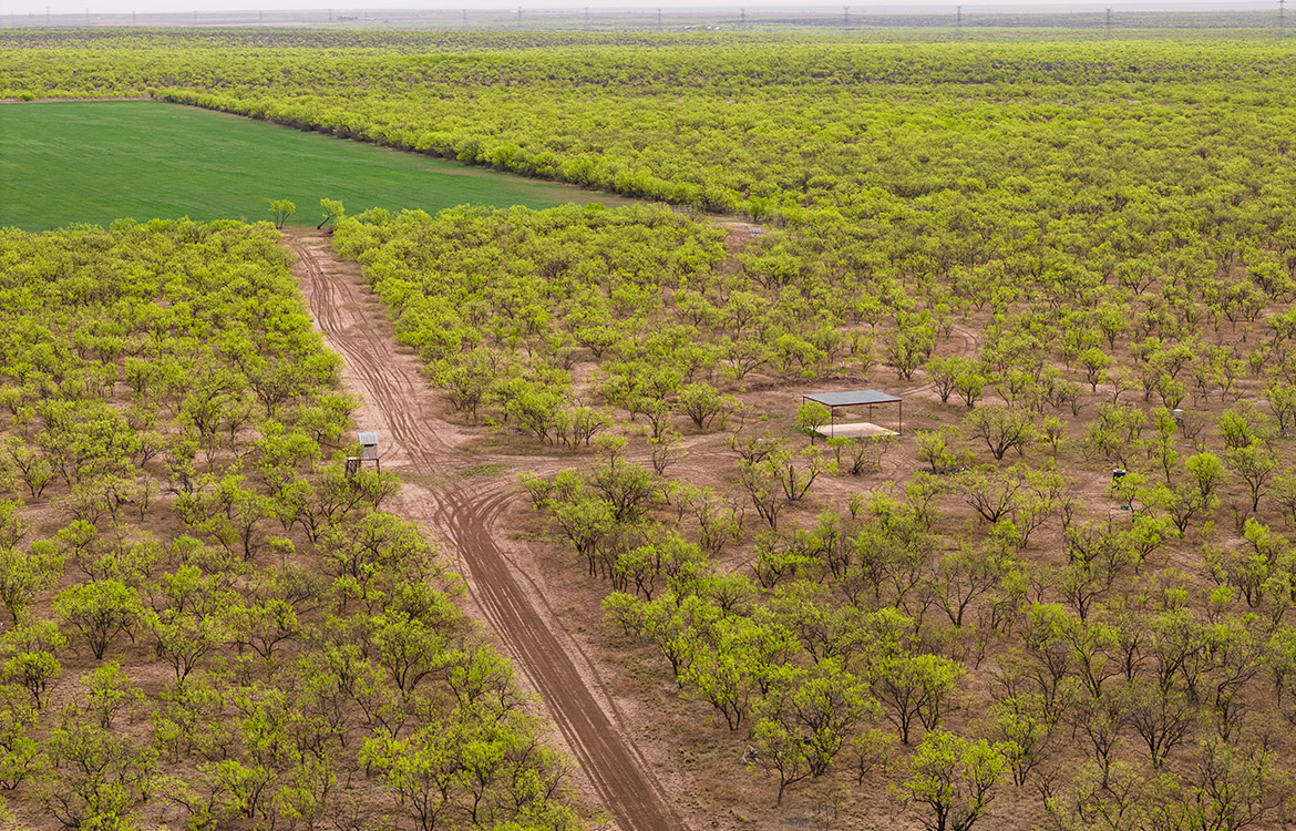 BRB Ranch 519 Acre Ranch For Sale n Concho County