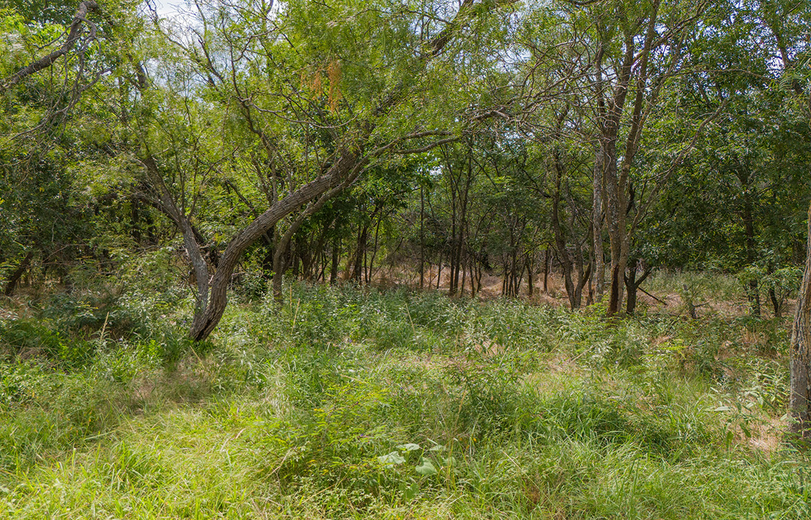 Hernandez Ranch 50 Acre Ranch For Sale In Falls County