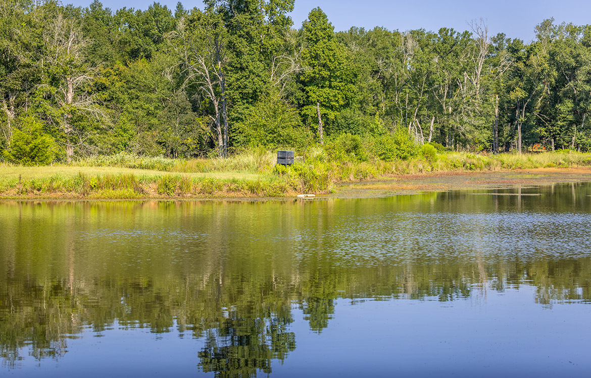 Blue Heron Ranch 190 Acre Ranch For Sale In Freestone County