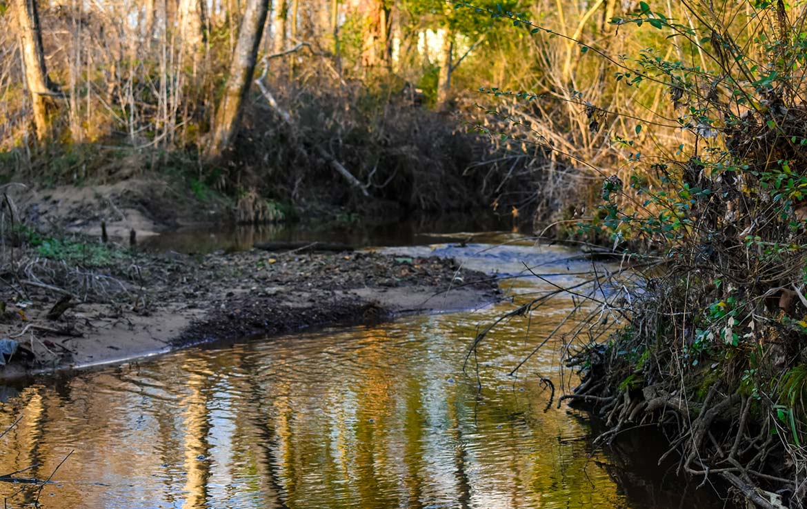Small Acreage Rural Properties - Texas Ranch Sales, LLC