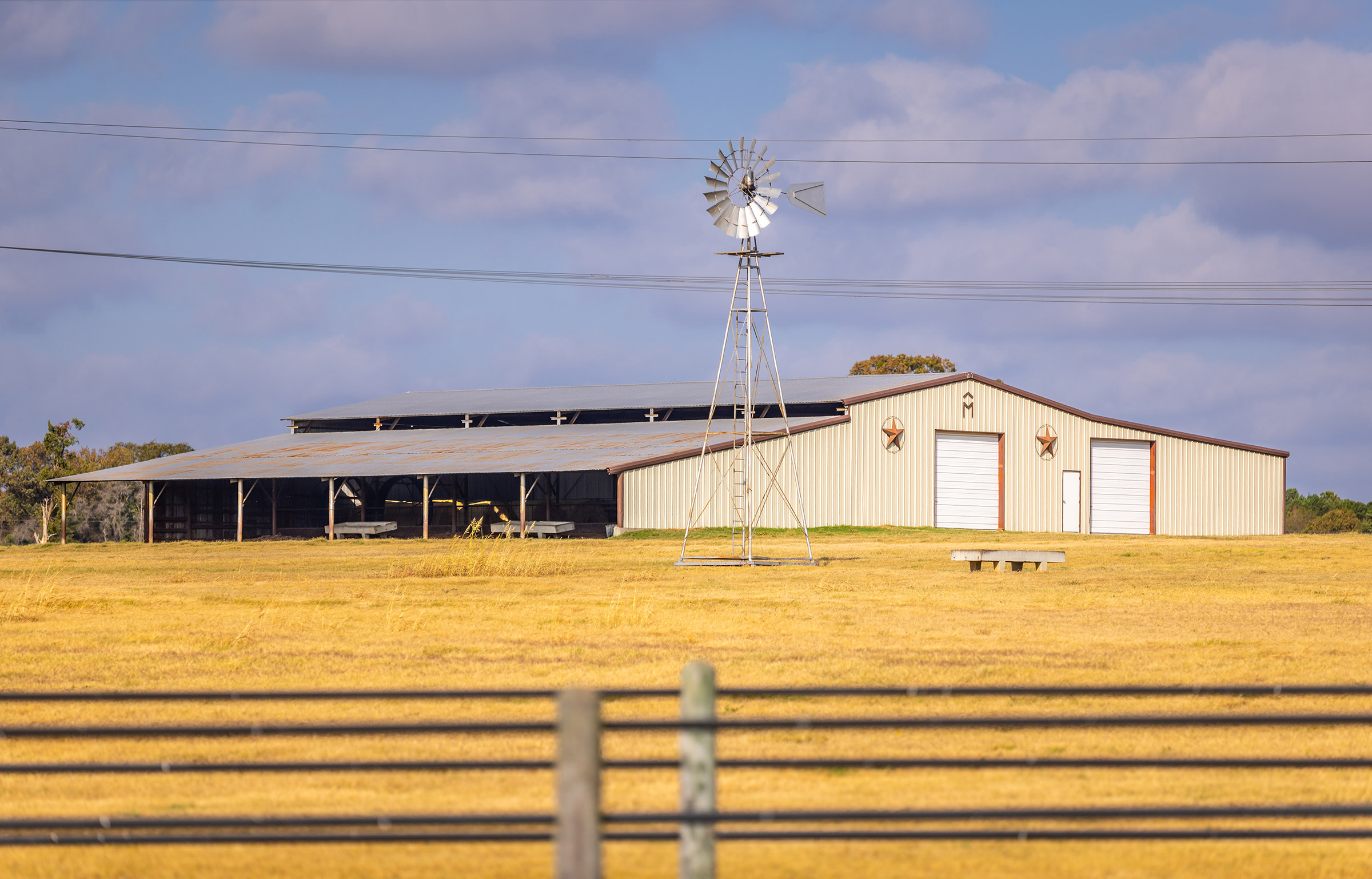 Longhorn Ranch 226 Acre Ranch in Titus County Texas