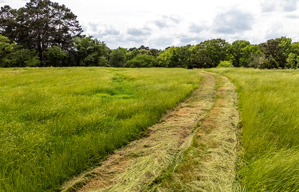 Hawk Ranch 67 Acre Ranch Sold In Upshur County
