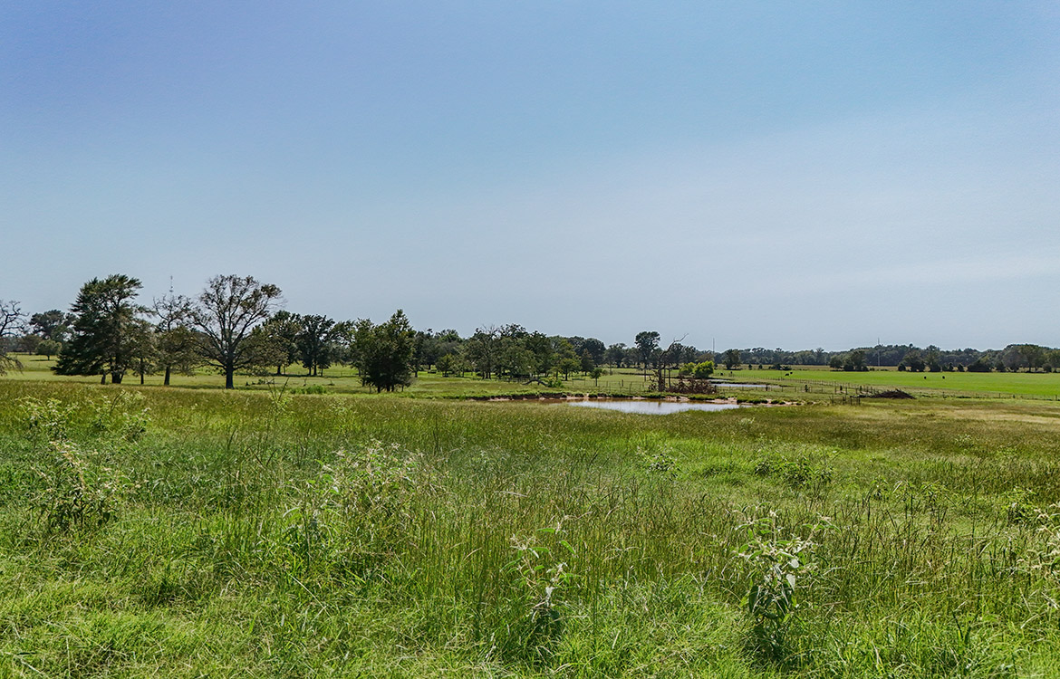 Headlight Ranch 147 Acre Ranch For Sale In Van Zandt County