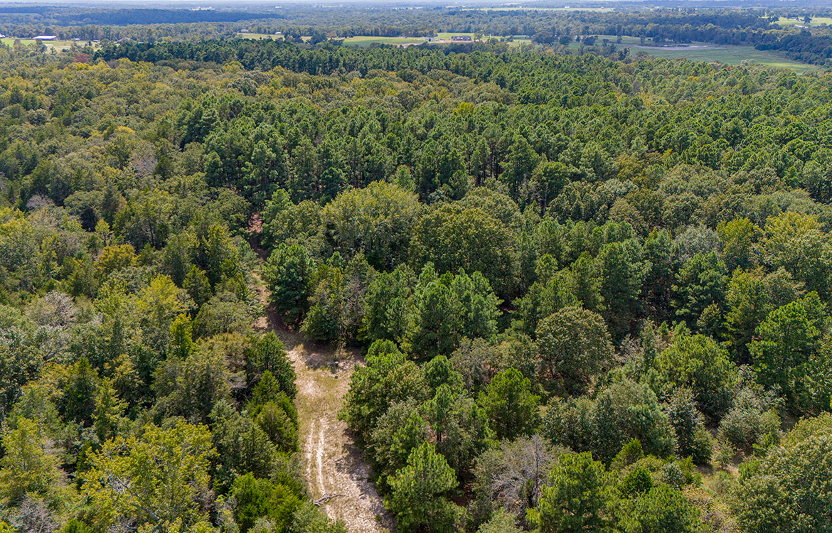 The Woods Ranch 235 Acre Ranch Sold In Van Zandt County