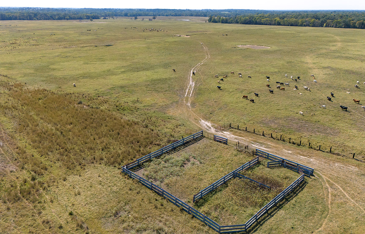Lacey Creek Ranch 720 Acre Ranch For Sale In Van Zandt County