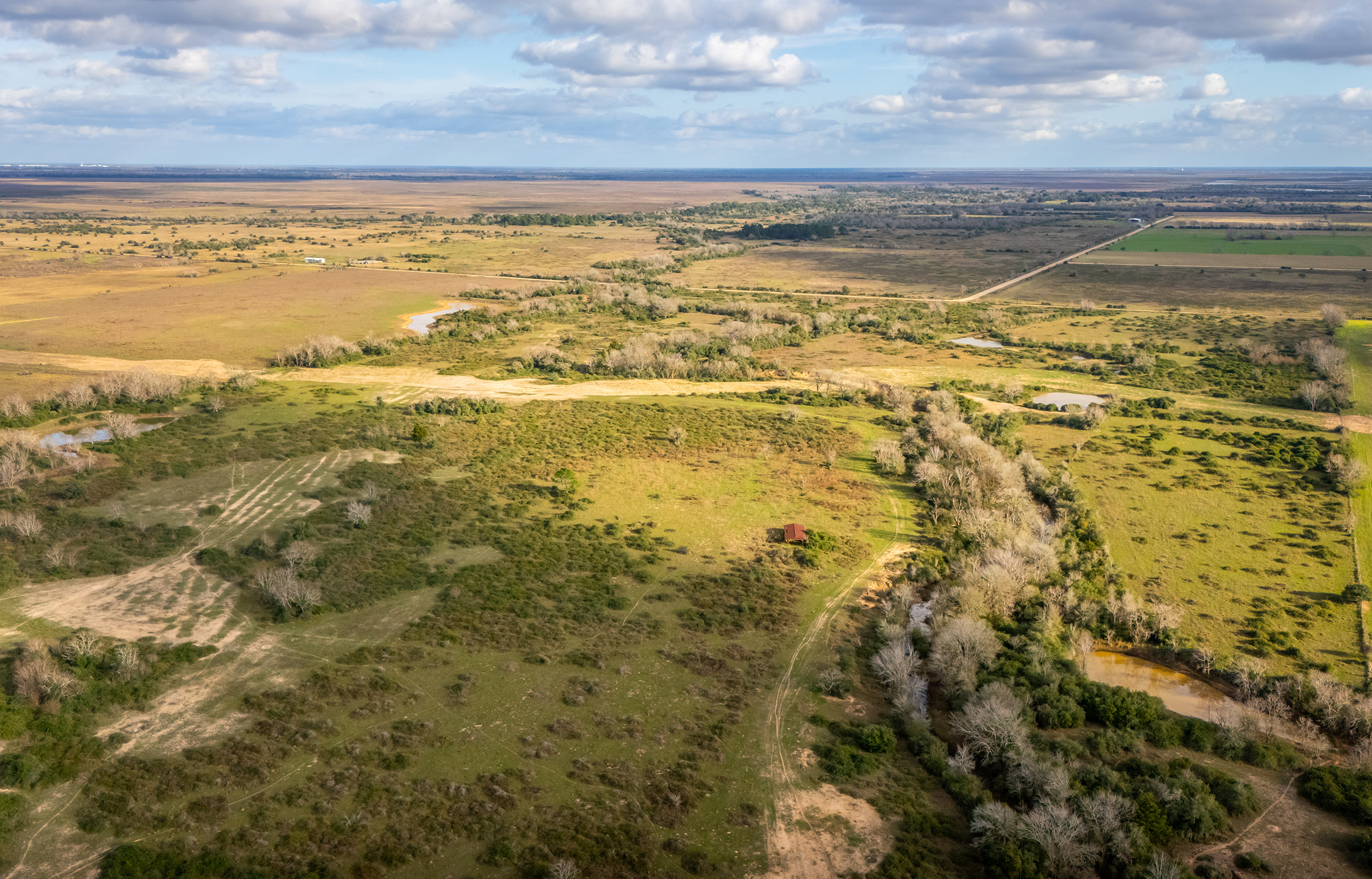 Coushatta Creek Ranch 100 Acres For Sale in Colorado County