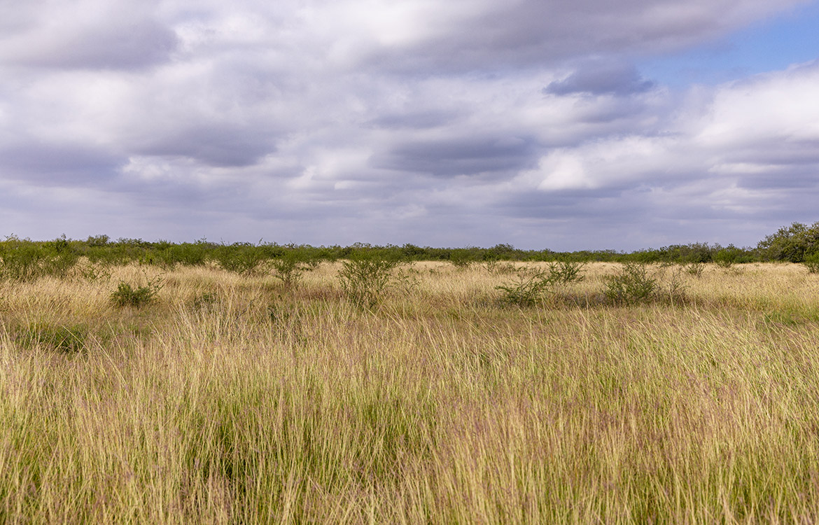 G5 Ranch 498 Acre Ranch For Sale In Jim Wells County