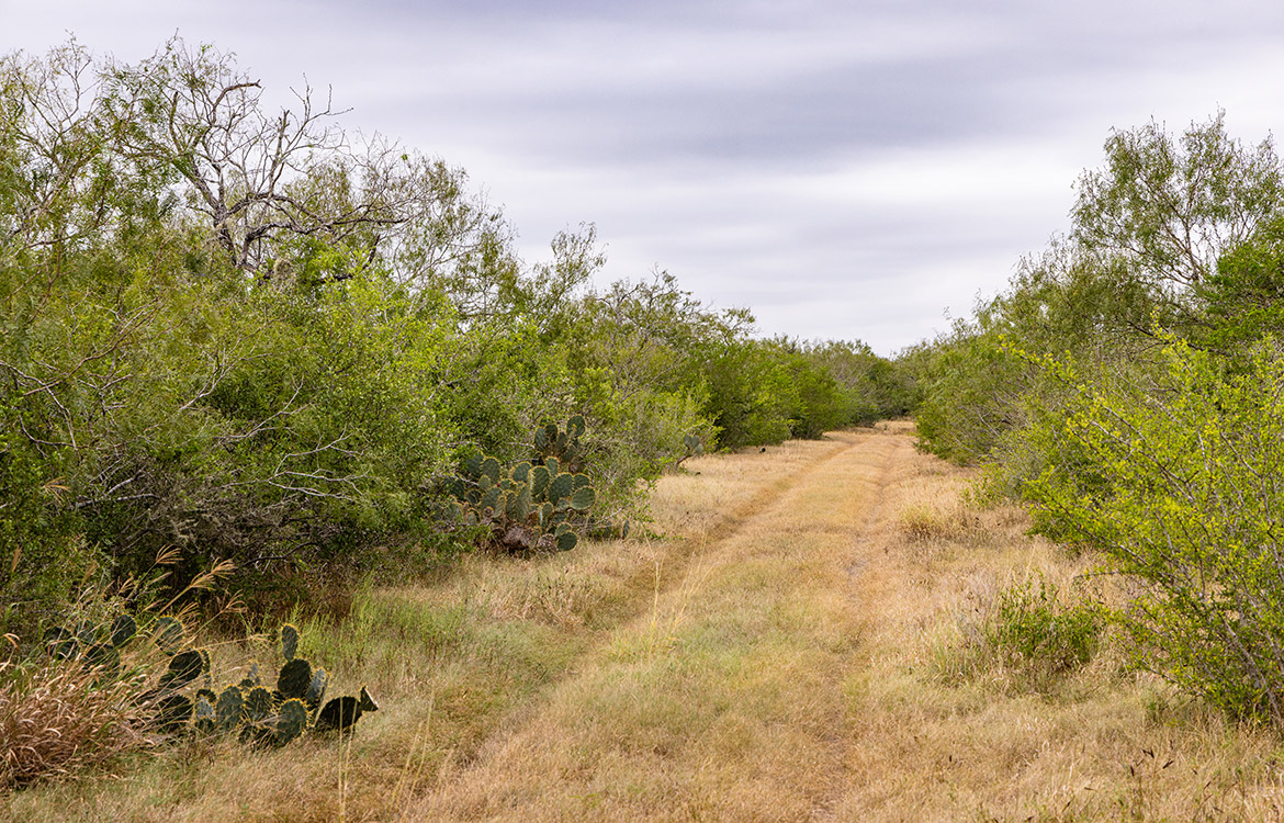 G5 Ranch 498 Acre Ranch For Sale In Jim Wells County