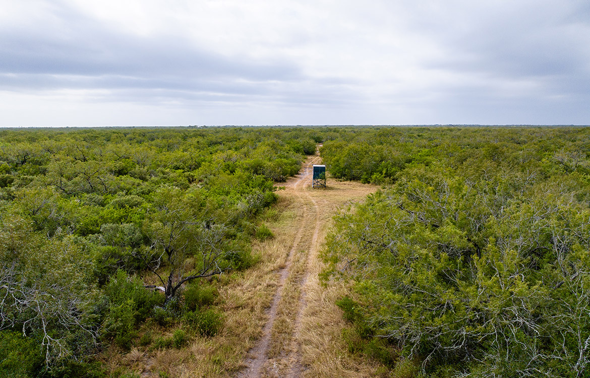 G5 Ranch 498 Acre Ranch For Sale In Jim Wells County