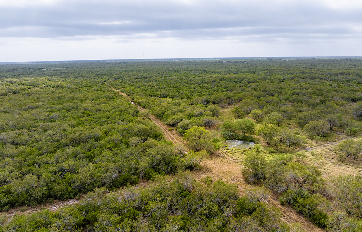 G5 Ranch 498 Acre Ranch For Sale In Jim Wells County