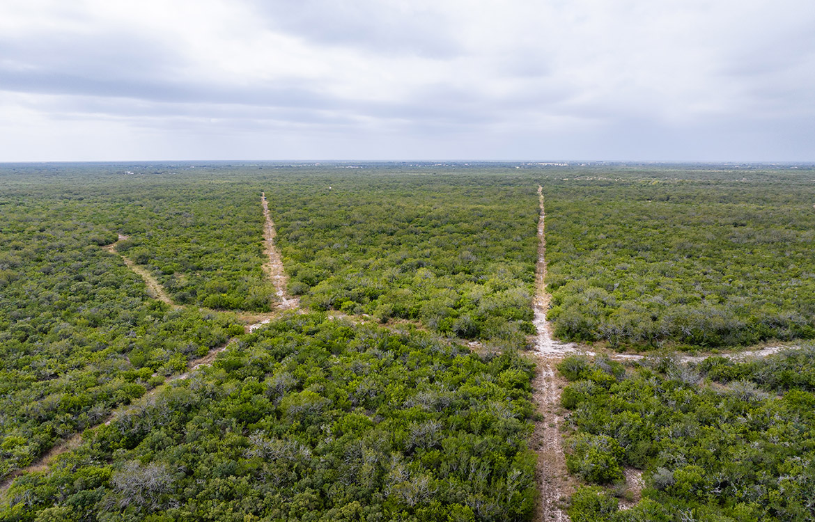 G5 Ranch 498 Acre Ranch For Sale In Jim Wells County