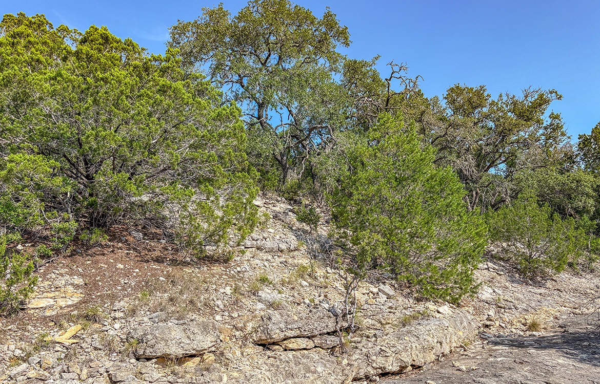 Marriott Ranch 52 Acre Ranch For Sale In Edwards County