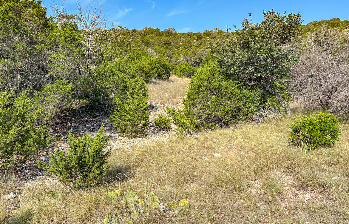 Marriott Ranch 52 Acre Ranch For Sale In Edwards County
