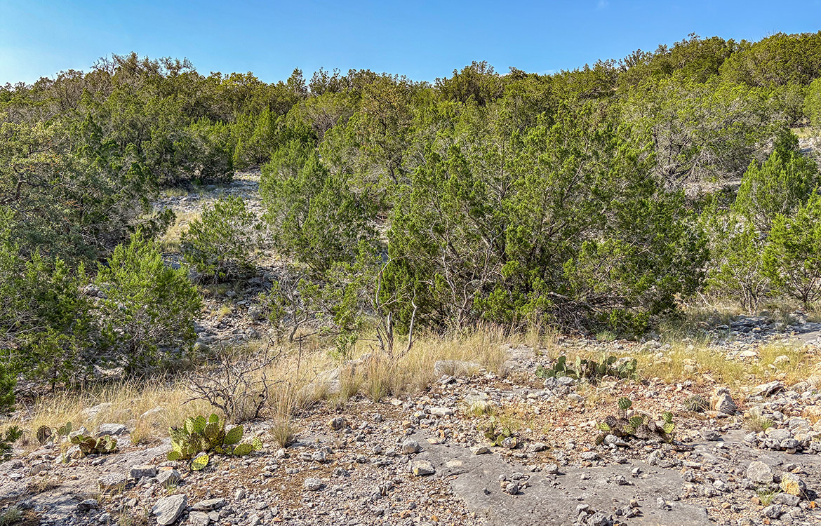 Marriott Ranch 52 Acre Ranch For Sale In Edwards County
