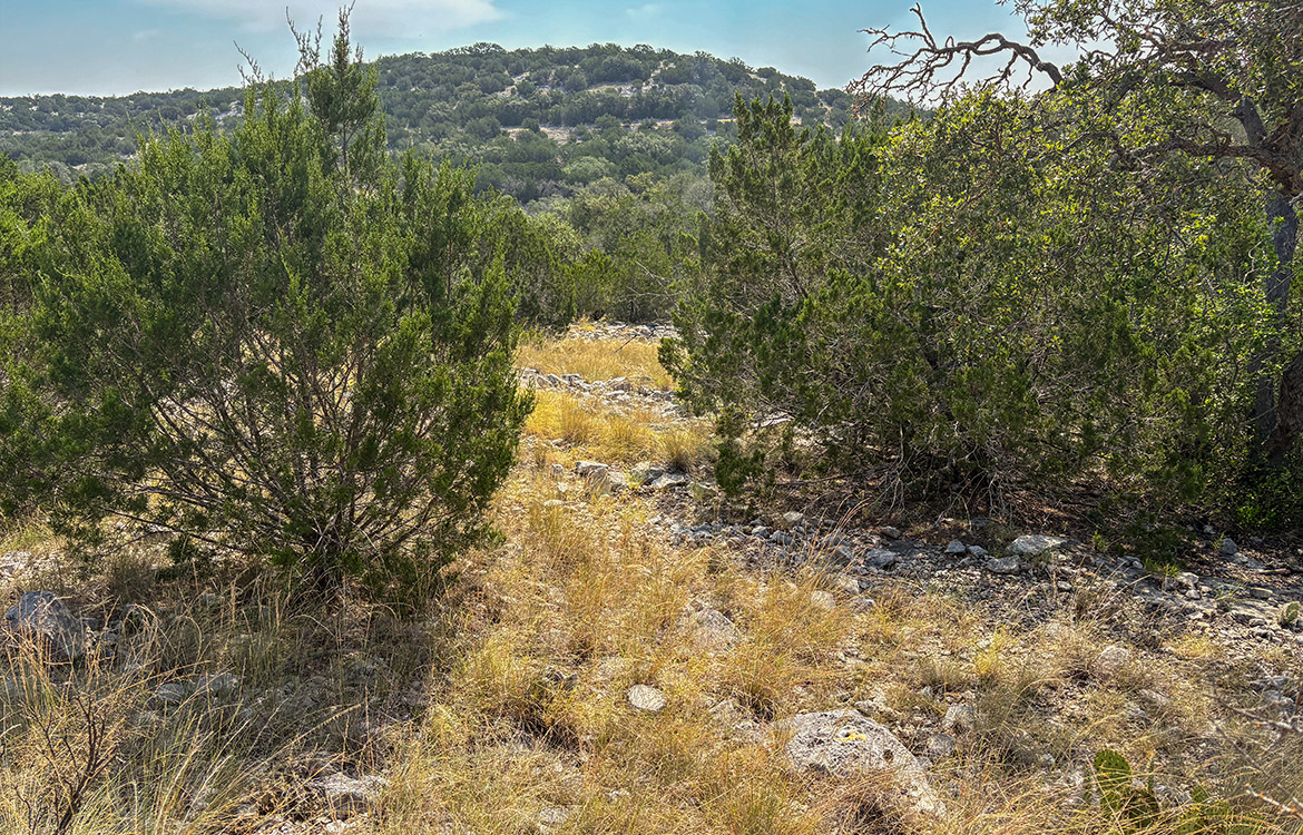 Marriott Ranch 52 Acre Ranch For Sale In Edwards County
